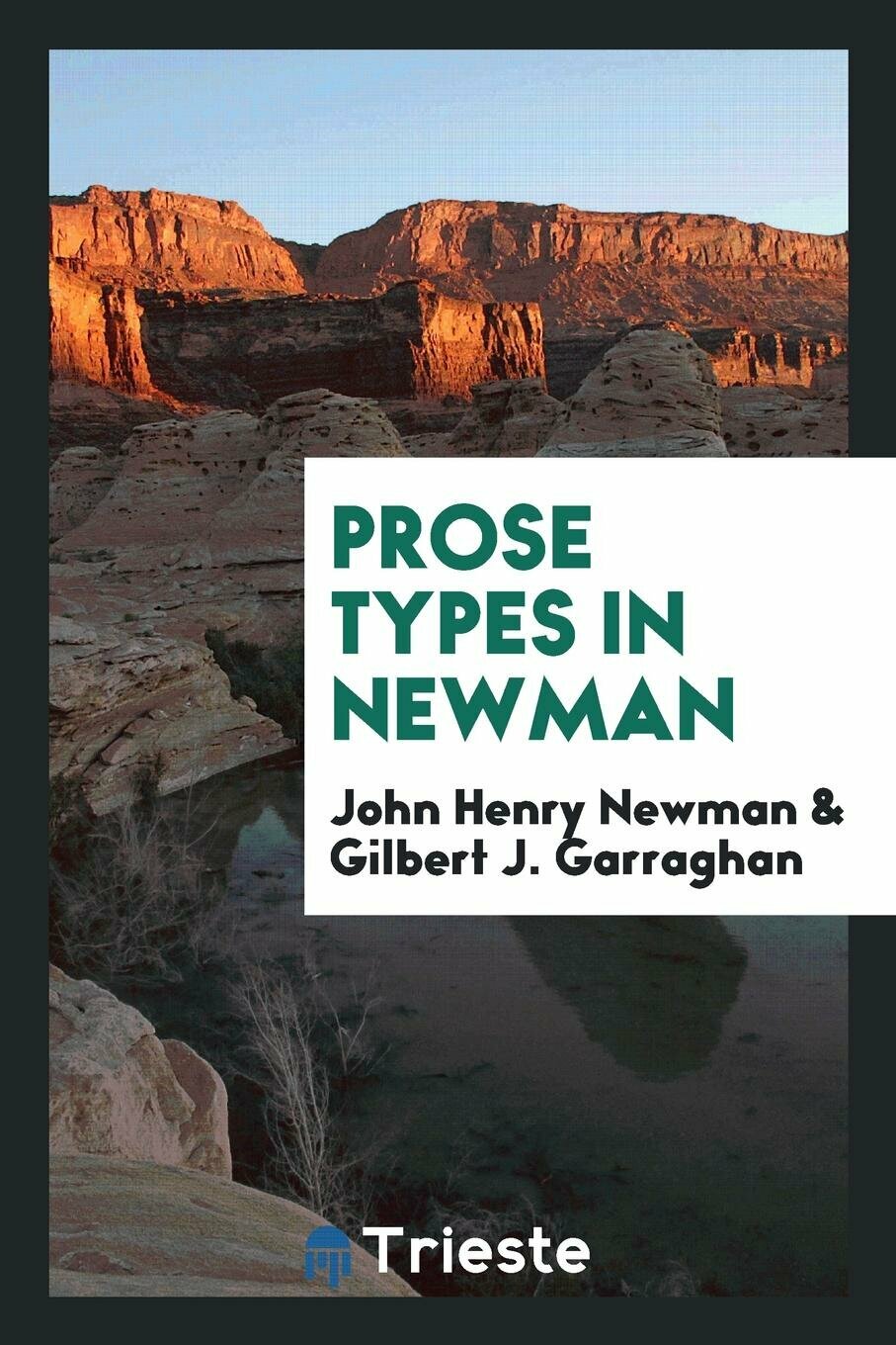 Prose types in Newman — фото 1