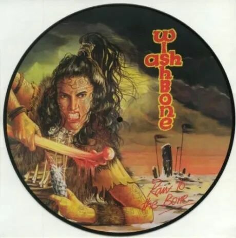 Виниловая пластинка WISHBONE ASH Raw To The Bone