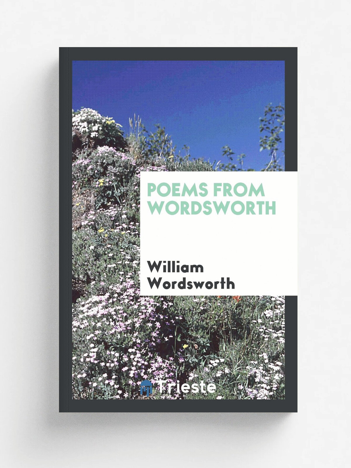 Poems from Wordsworth