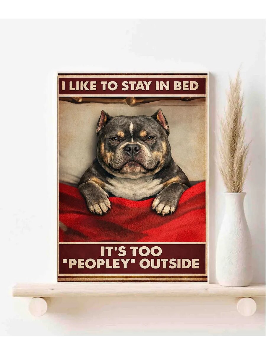 Американский булли, Stay In Bed, Плакат 30x42см