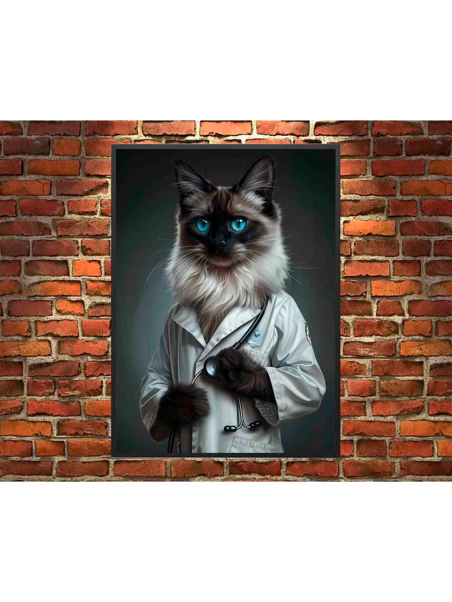Балийский кот Доктор 4, Плакат 30x42см