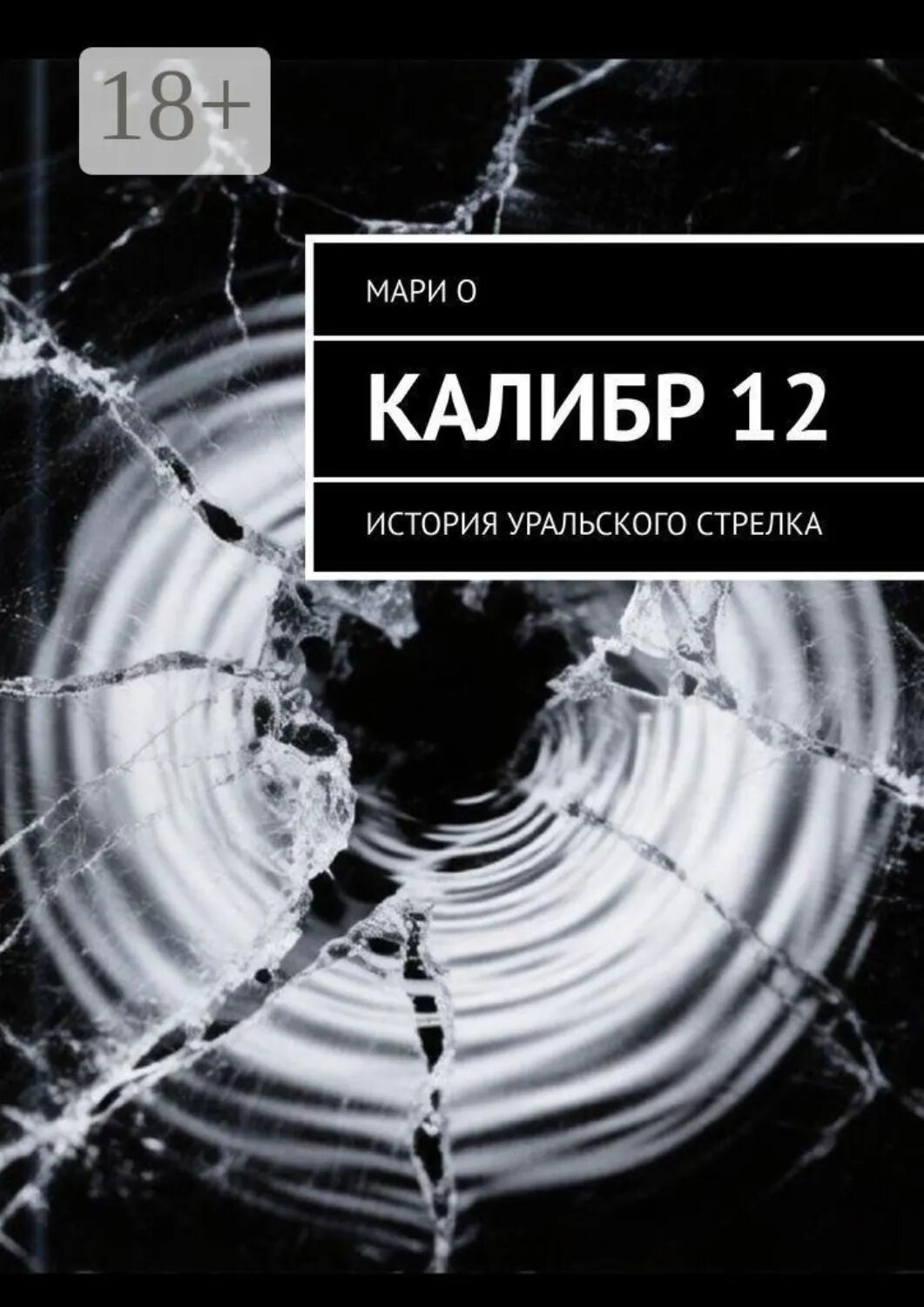 Калибр 12. История уральского стрелка [Цифровая книга]