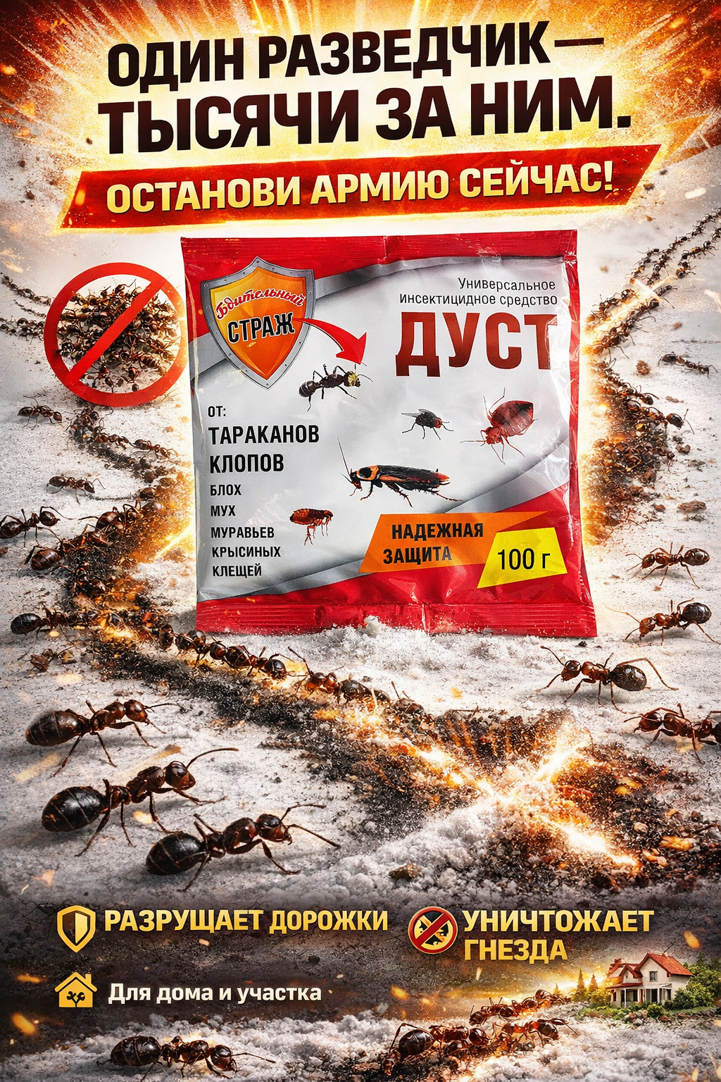 Дуст от муравьев в доме, порошок от муравьев, 1 шт