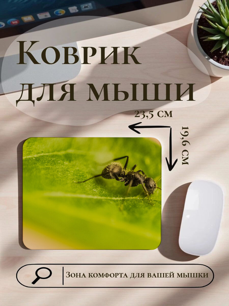 Коврик для мыши черный садовый муравей