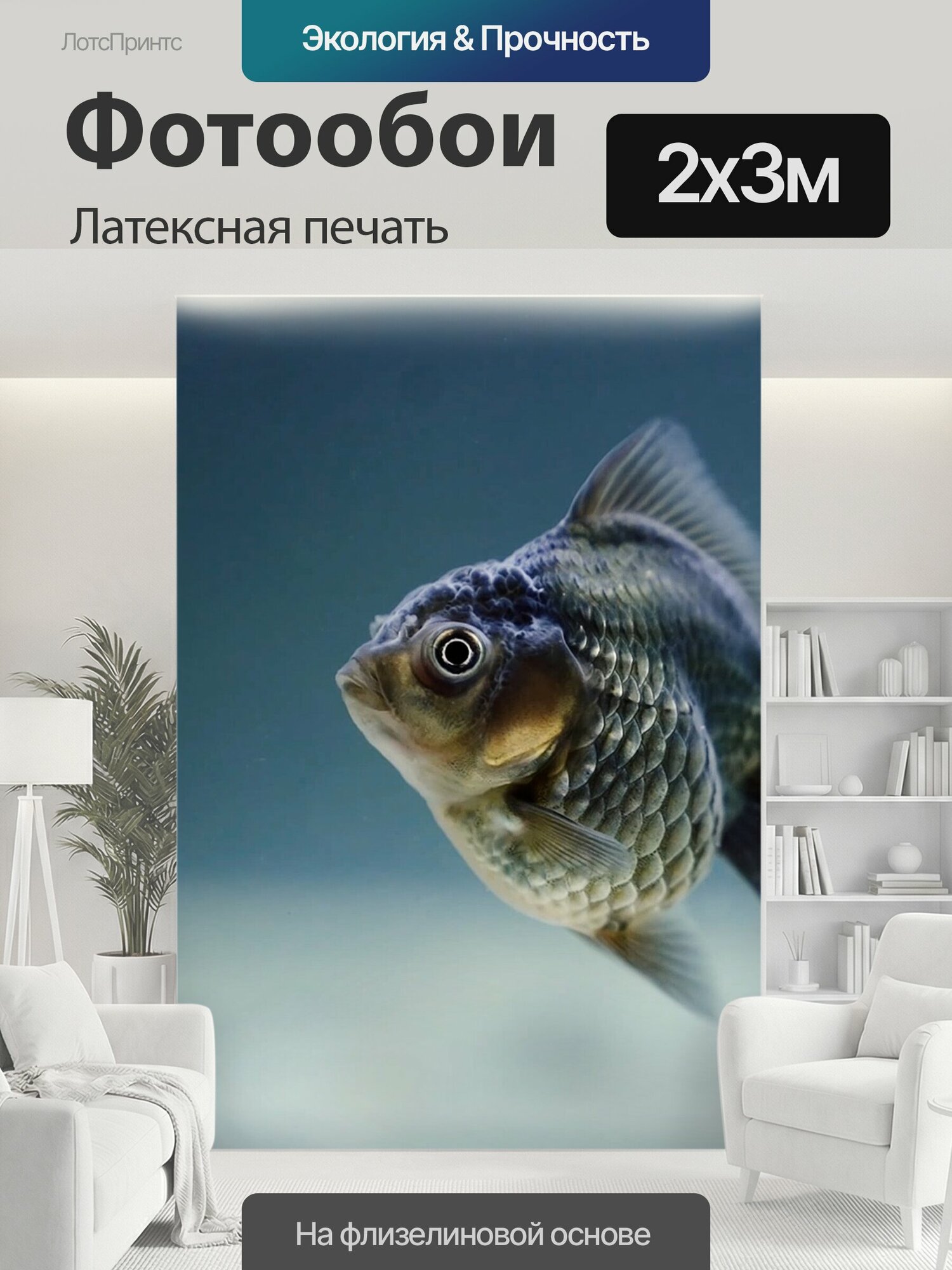 Фотообои моющиеся ударопрочные "Рыбы, карась, вуаль" 200x300 см. латексная печать