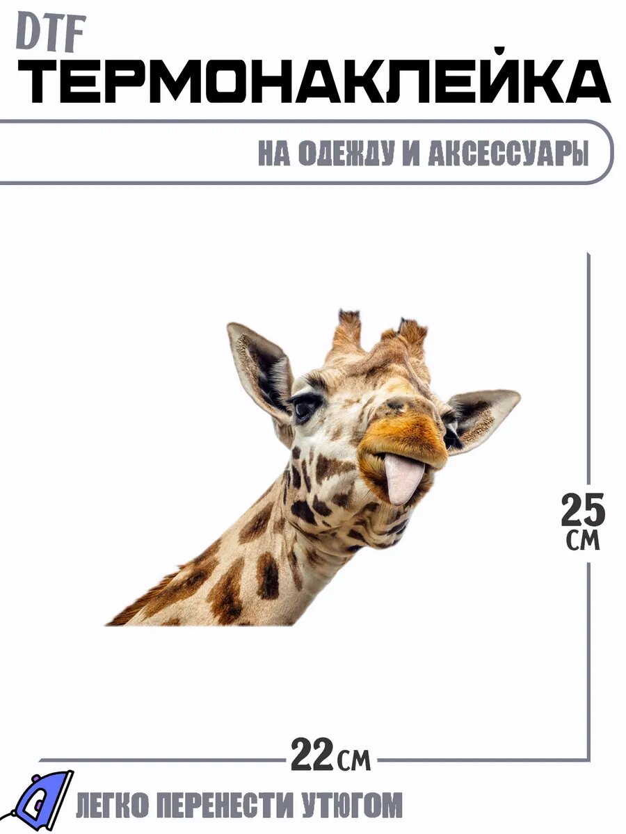 Термонаклейка жираф