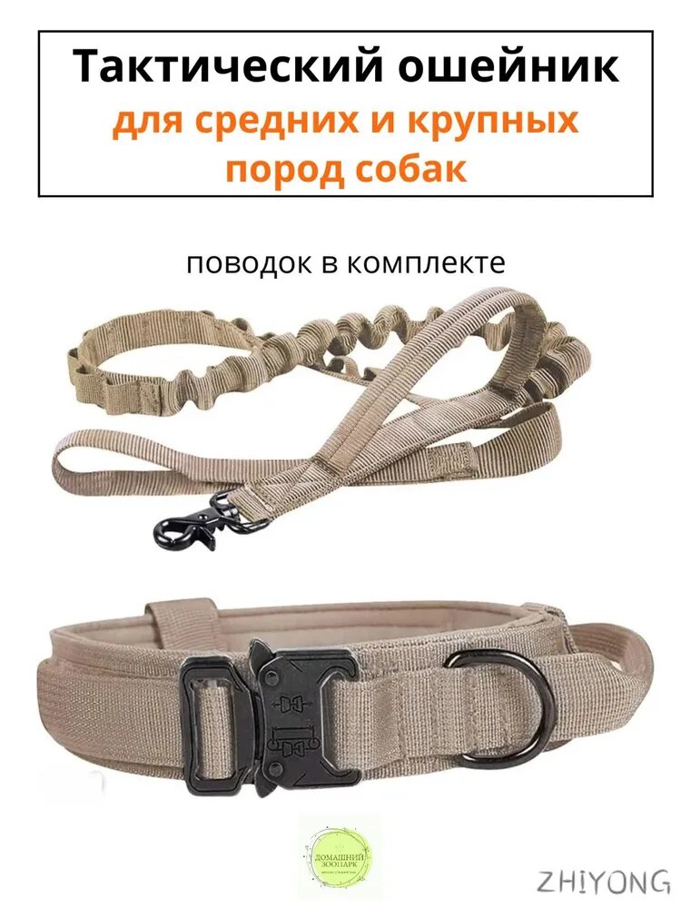Ошейник