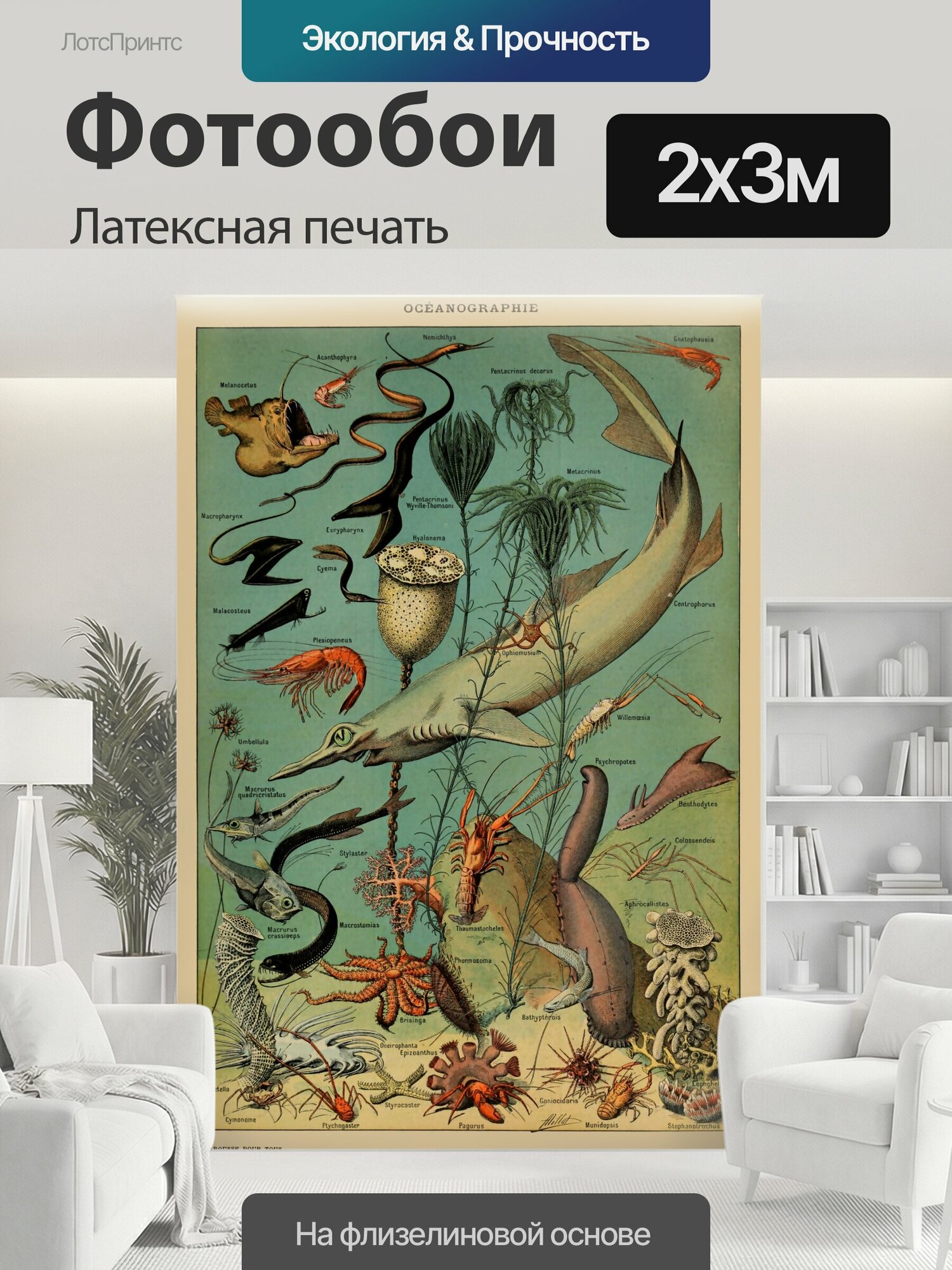 Фотообои моющиеся ударопрочные "Fish Vintage Арт Принт Красивый набор различных видов рыб, морских обитателей, винтажный французский принт с." 200x300 см. латексная печать