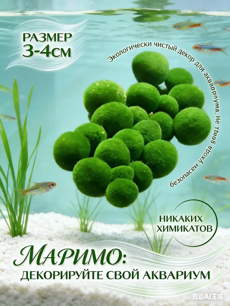 Живые водорослиНабор 4 шт,