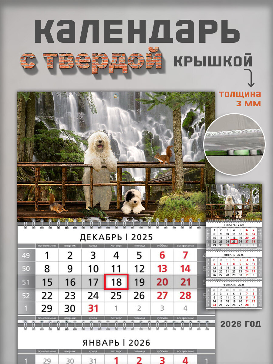 Настенный квартальный календарь "Собаки у водопада"