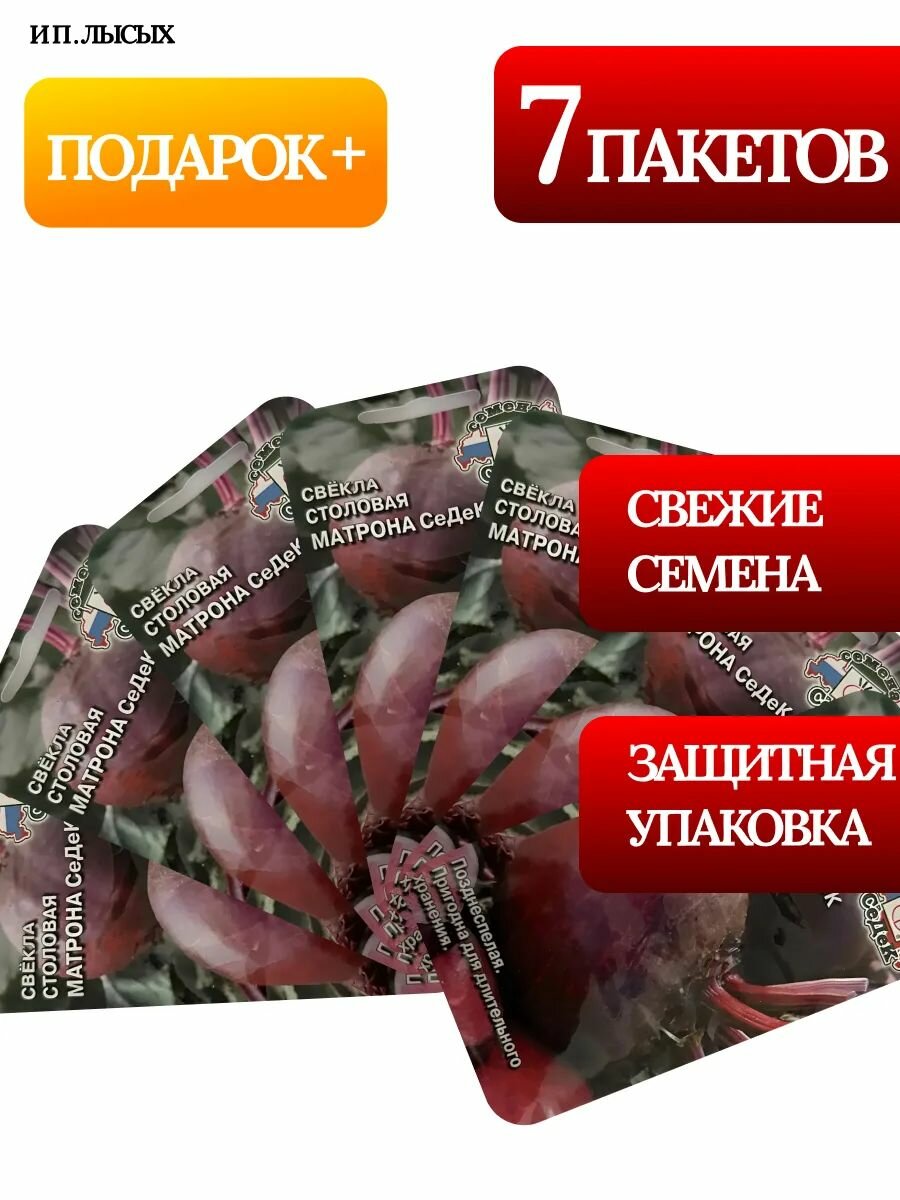 Семена Свекла "Матрона Седек"