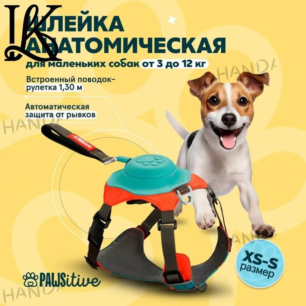 Шлейка анатомическая для маленьких собак PAWSitive XS-S с поводком-рулеткой 1,30 м