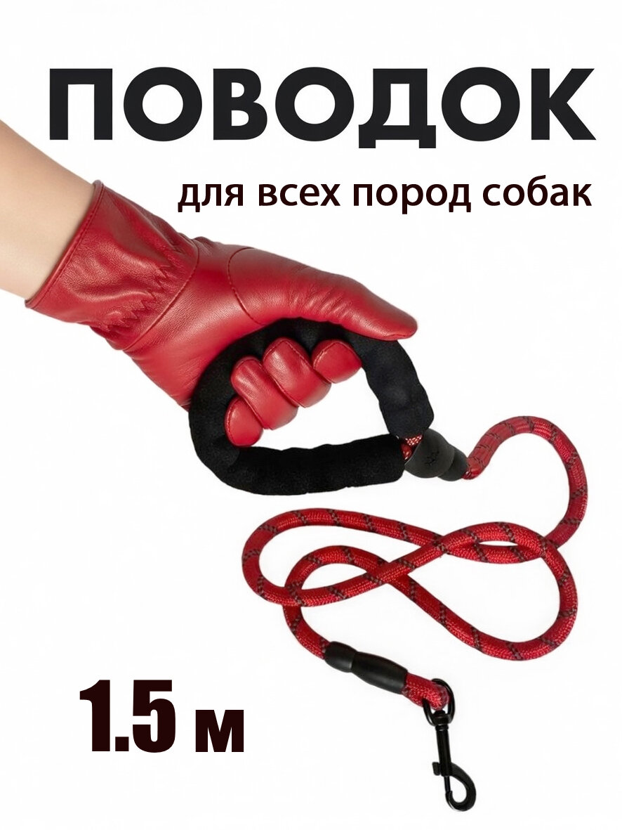 Поводок