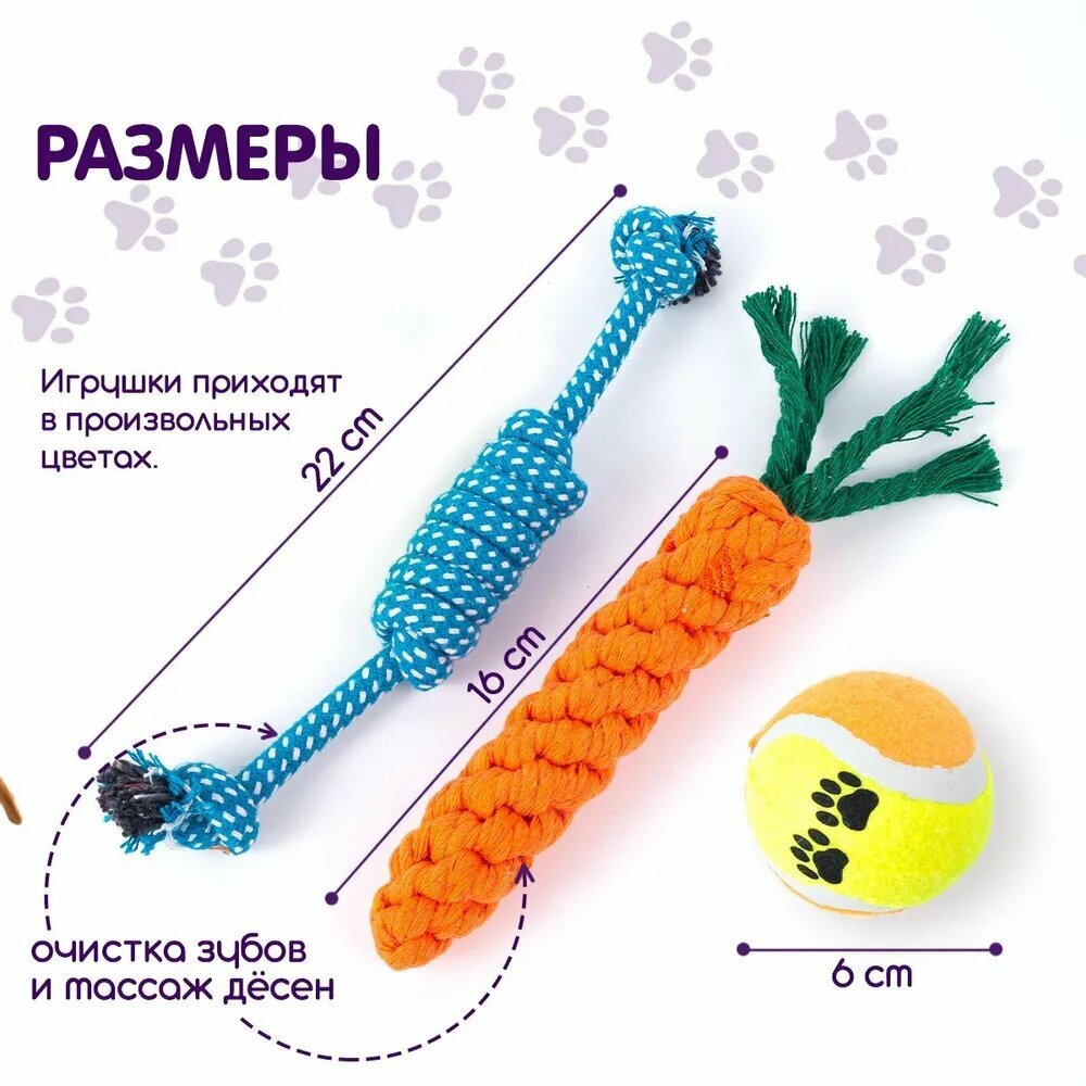 Игрушки для собак мелких, средних пород и щенков, набор 5 шт. Зоотовары для развлечения и дрессировки питомцев: мячики резиновые с пищалкой, канат, морковка, теннисный мяч