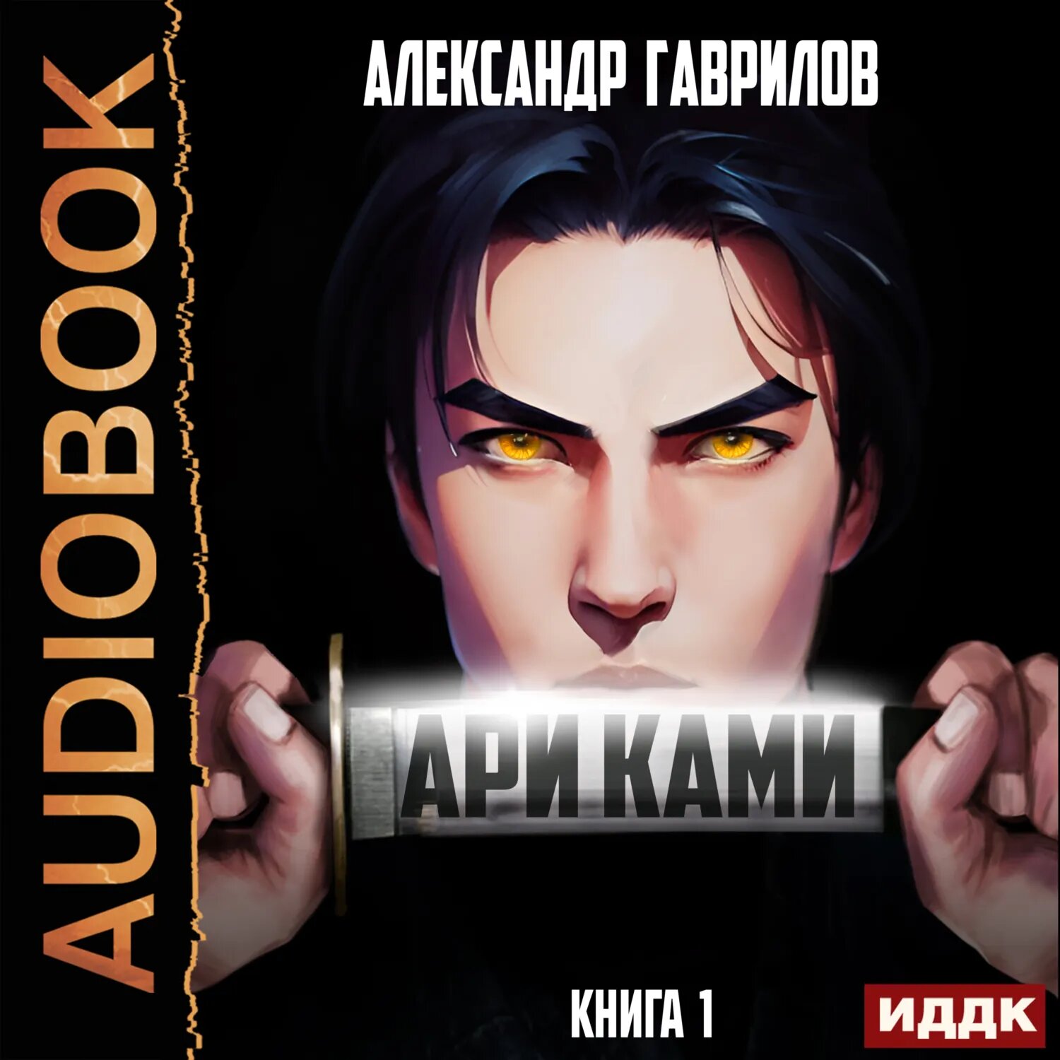 Ари Ками. Книга 1 [Аудиокнига]