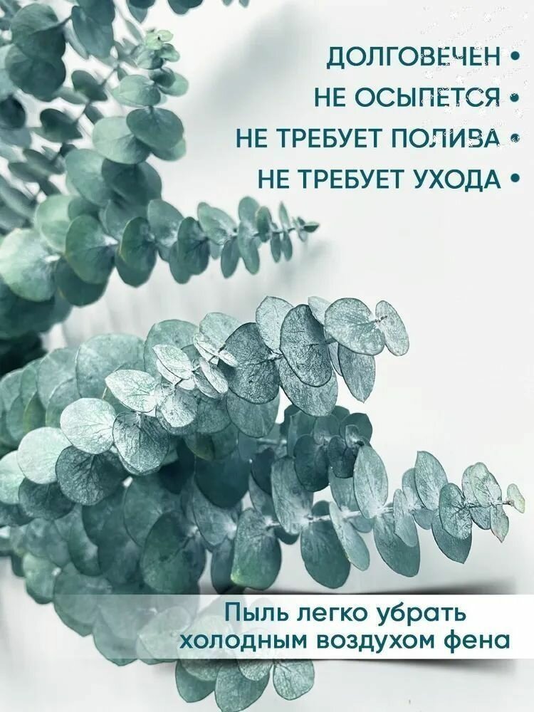 Сухоцветы, 55 см, 150 гр — фото 1