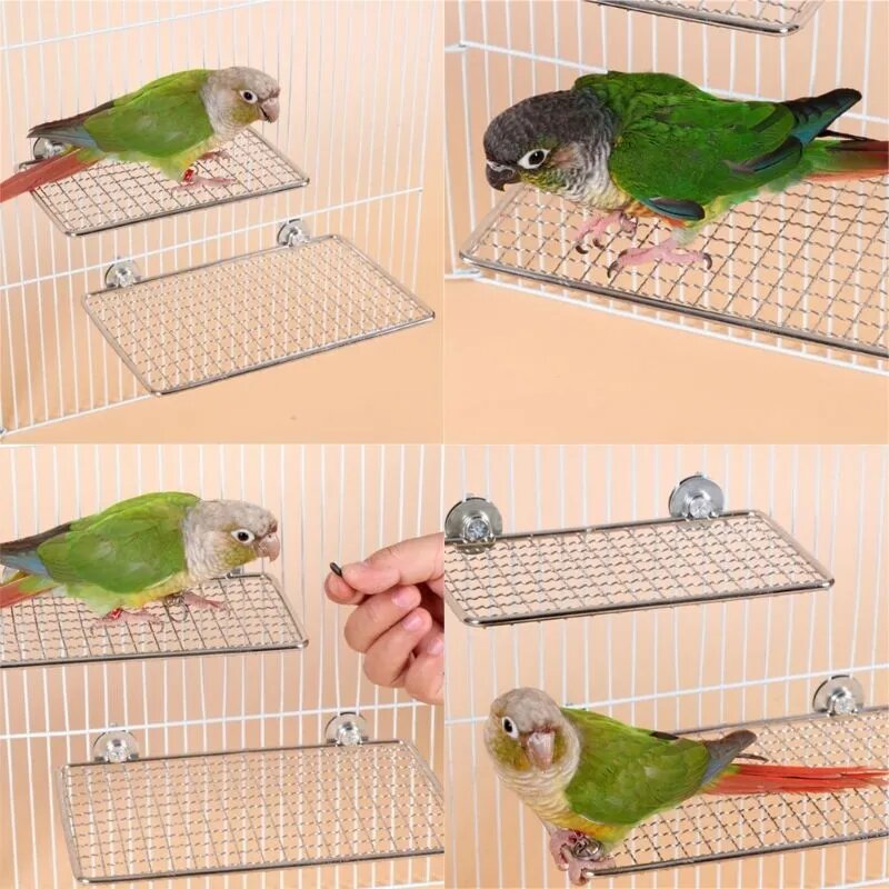 Платформа для прыжков Parrot из нержавеющей стали-Очень большая