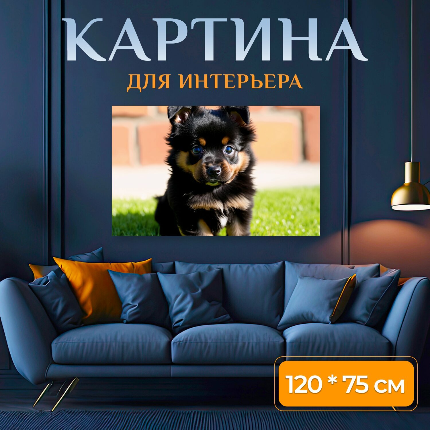 Картина на холсте "Черный шпиц puppy, маленький, пушистый, с большими глазами, уши стоят, на зеленой траве, размытый фон, кирпичная стена, солнечный свет" на подрамнике 120х75 см. для интерьера