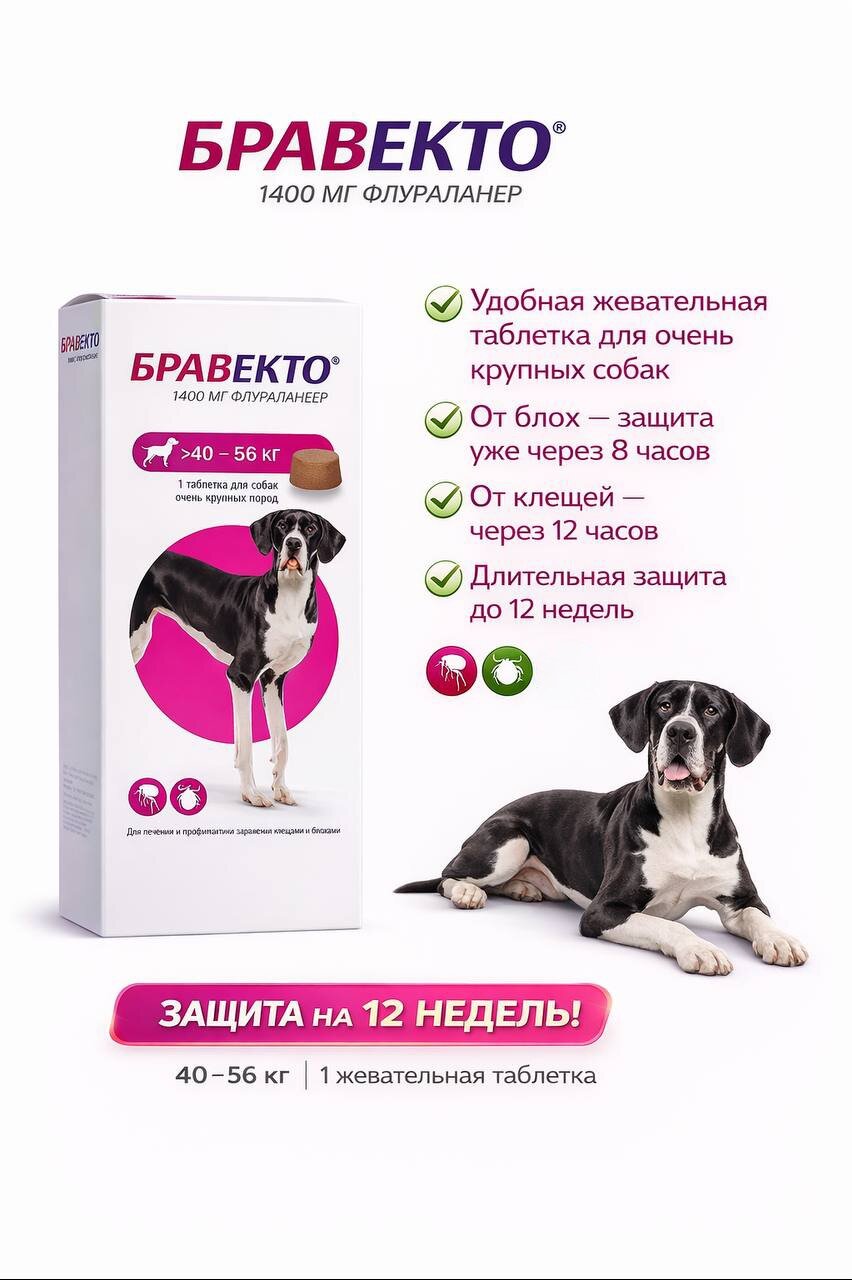 Intervet Бравекто жевательная таблетка для собак 40-56кг 1400мг (1 шт)