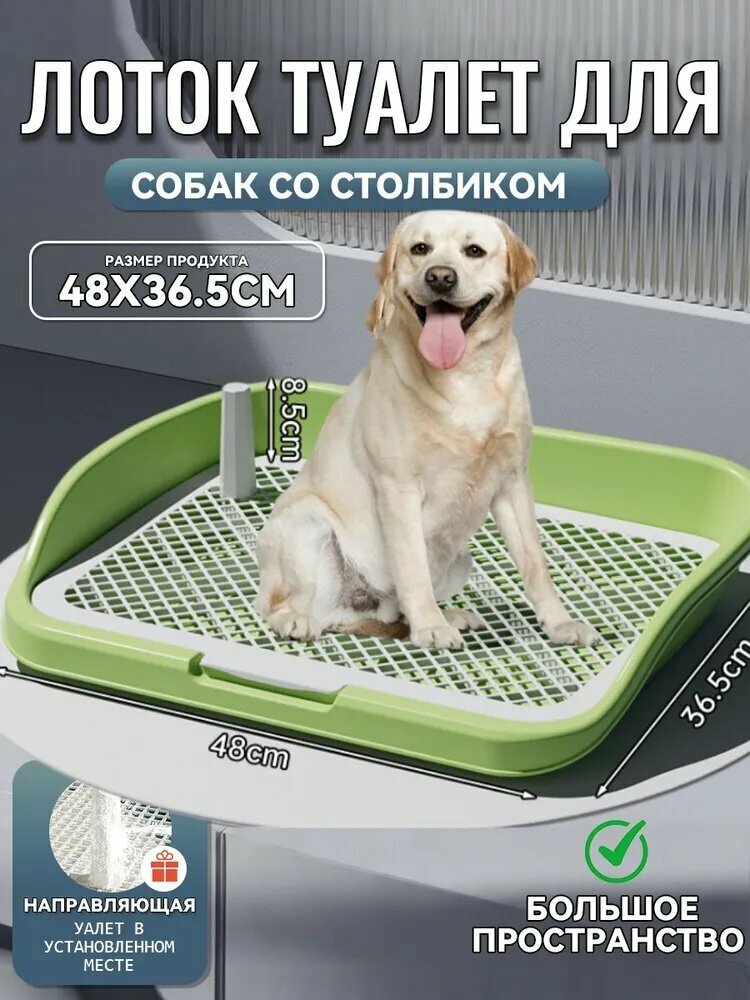 Собачий туалет больших размеров для маленьких средних и крупных собак плоский высокий забор защищающий от брызг собачий писсуар.