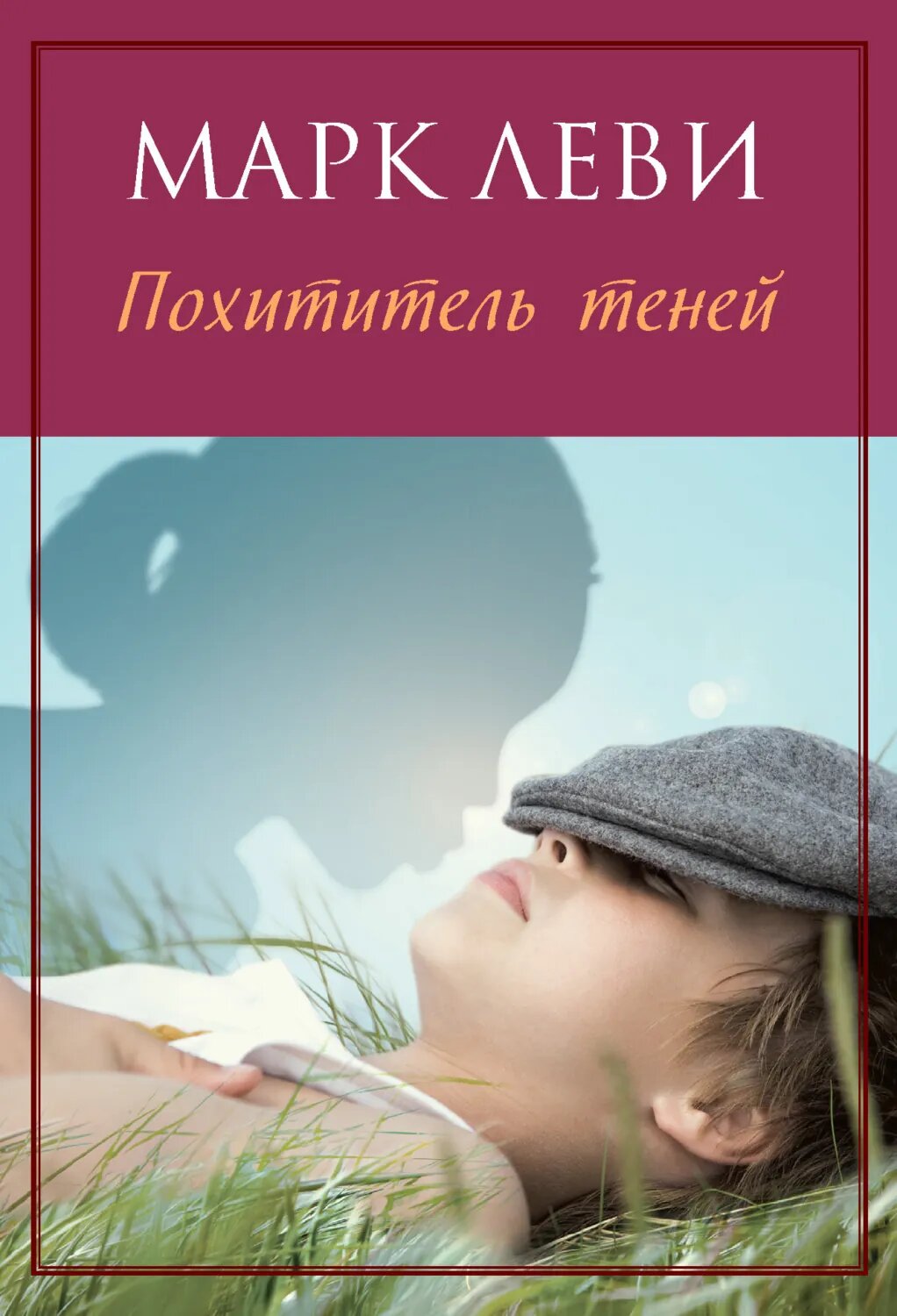 Похититель теней [Цифровая книга]