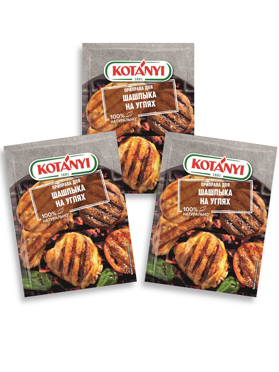 Приправа для гриля и шашлыка Шашлык на углях KOTANYI 30г - 3 пакетика