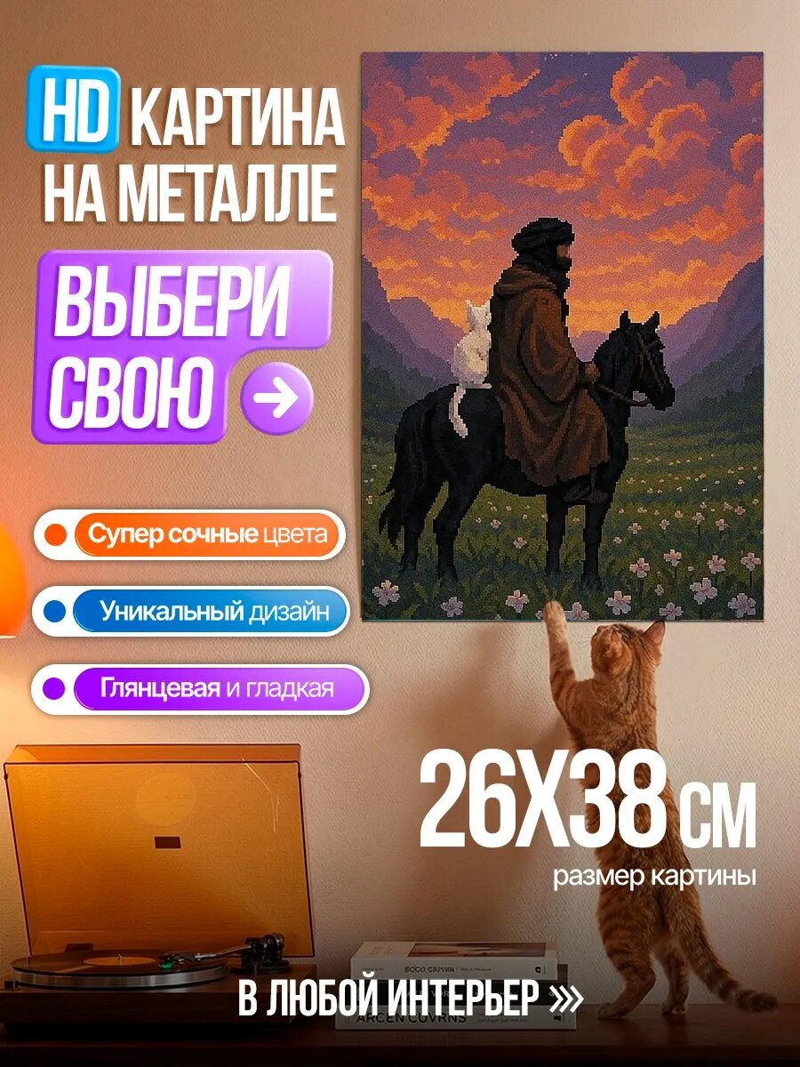 Картина на HD металле Всадник с котом