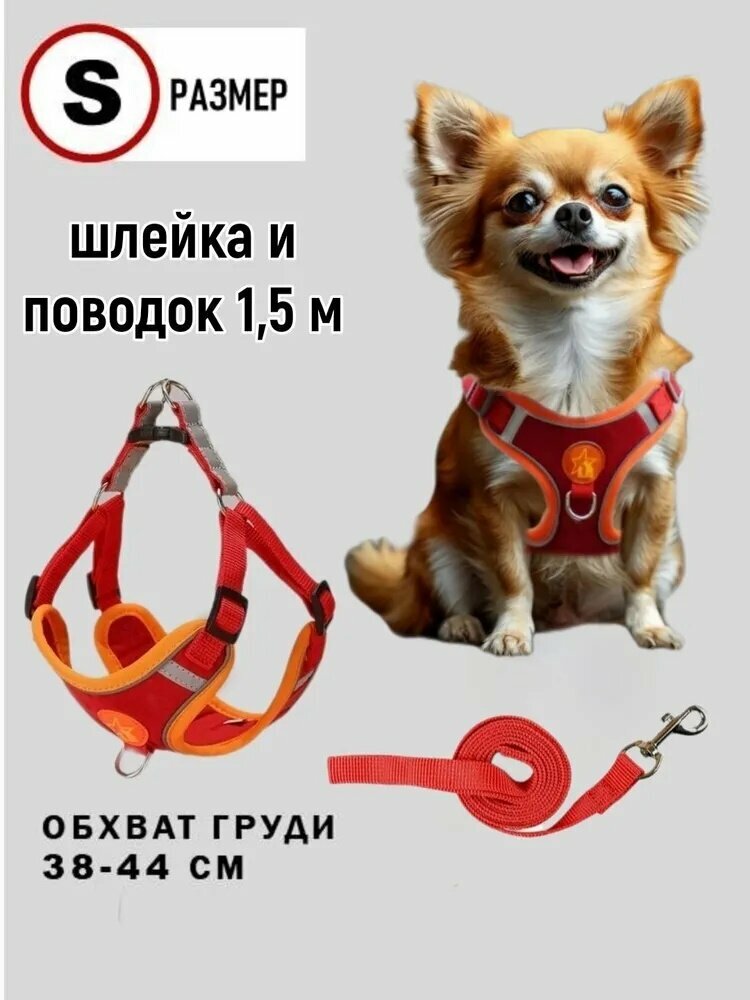 Шлейка с поводком для собак мелких пород и кошек. S. Цвет красный. Обхват груди 38-44 см.