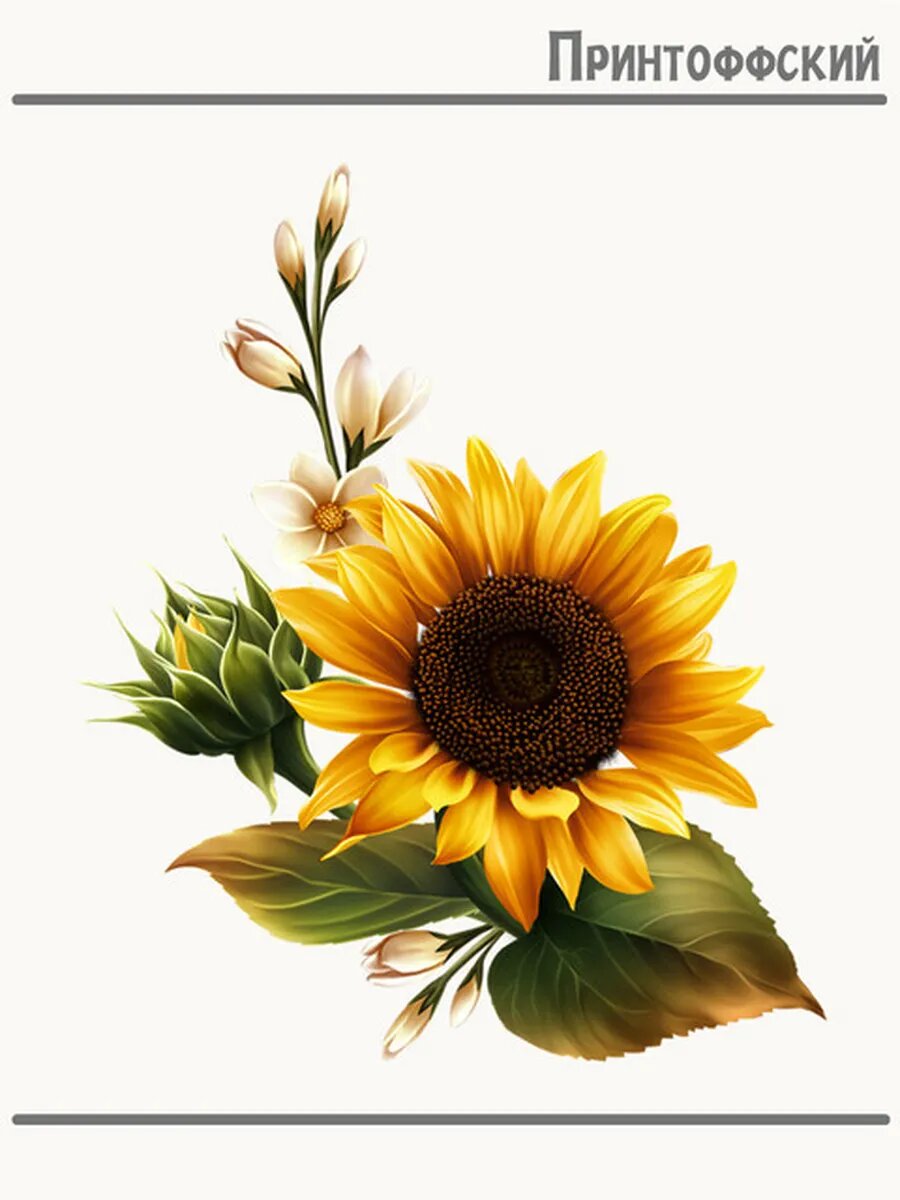 Термонаклейка для одежды и аксессуаров DTF-печать flowers sunflower цветы подсолнух