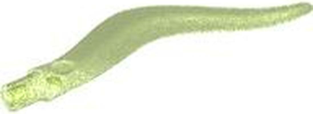 Деталь Lego 69858 Wave Rounded Curved Single with Bar End (Flame, Sword)