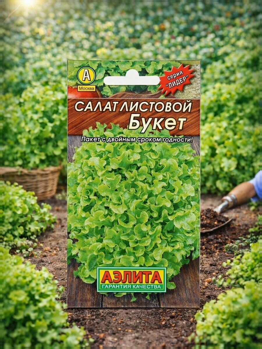 Семена салата листового Букет, зелень для огорода, теплицы и подоконника, быстрорастущий сорт