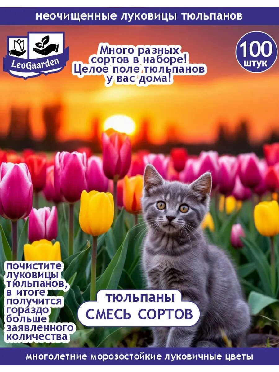 Тюльпан Луковицы неочищенные, Микс сортов, 100шт
