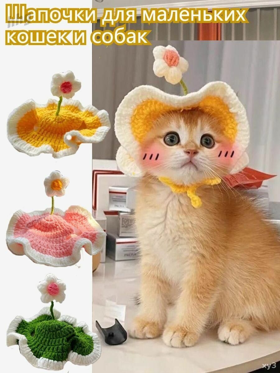 Вязаные шапочки для кошек и собак
