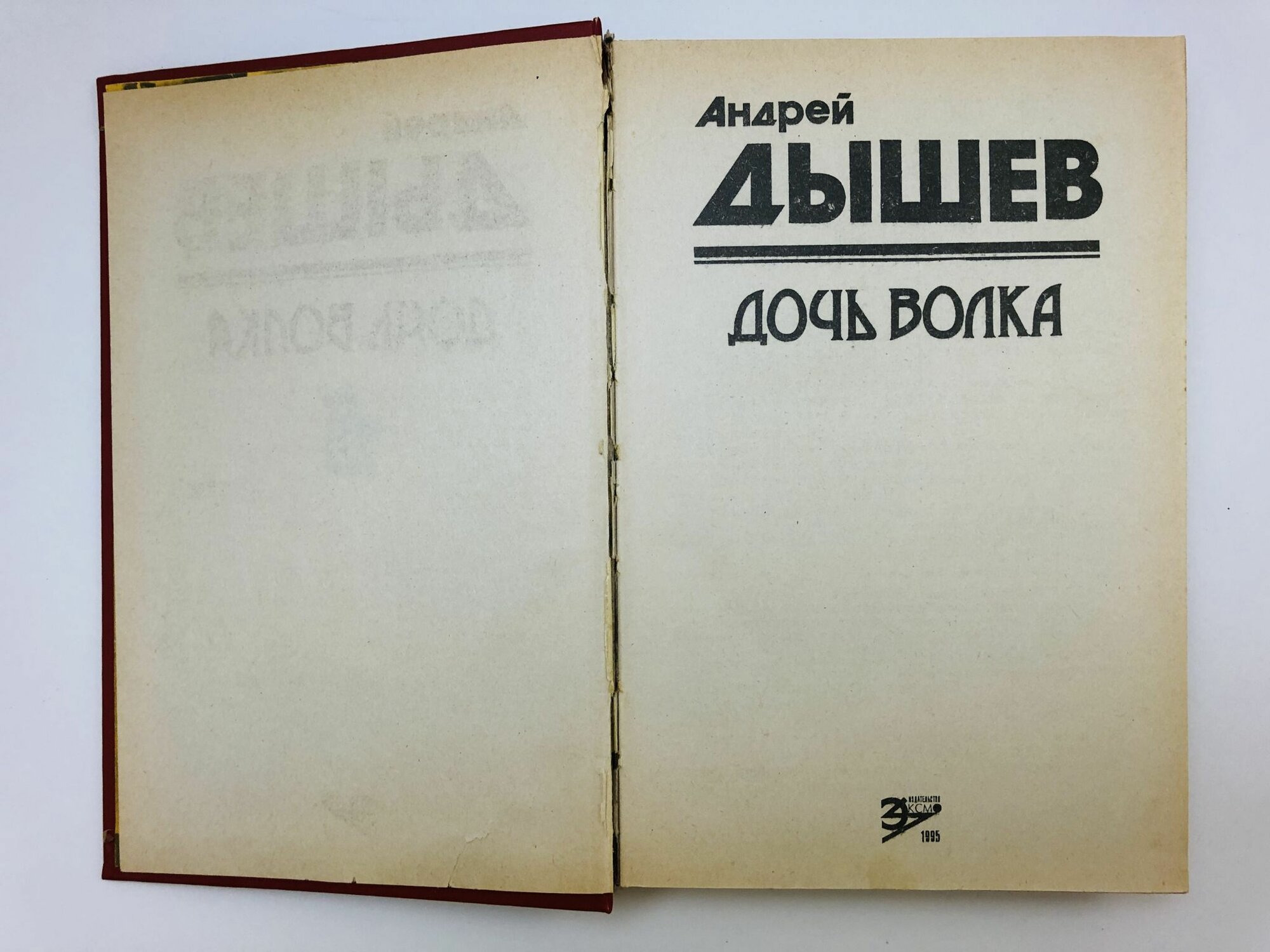 Дочь волка. Роман — фото 1