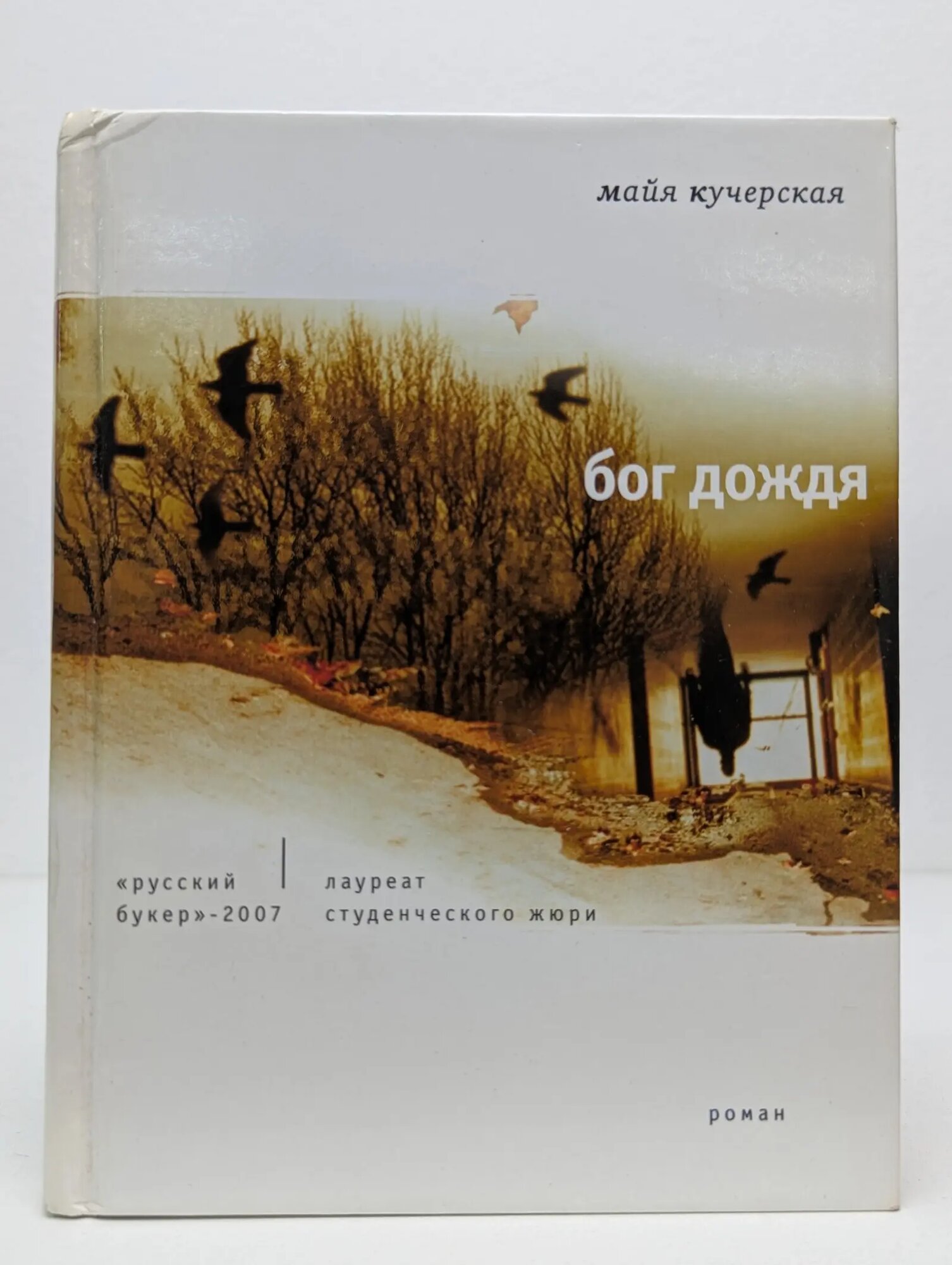 Бог дождя Кучерская Майя Александровна 2008