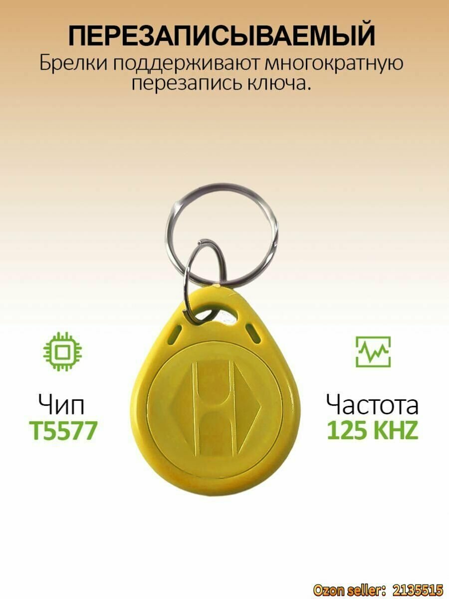 Электронный ключ