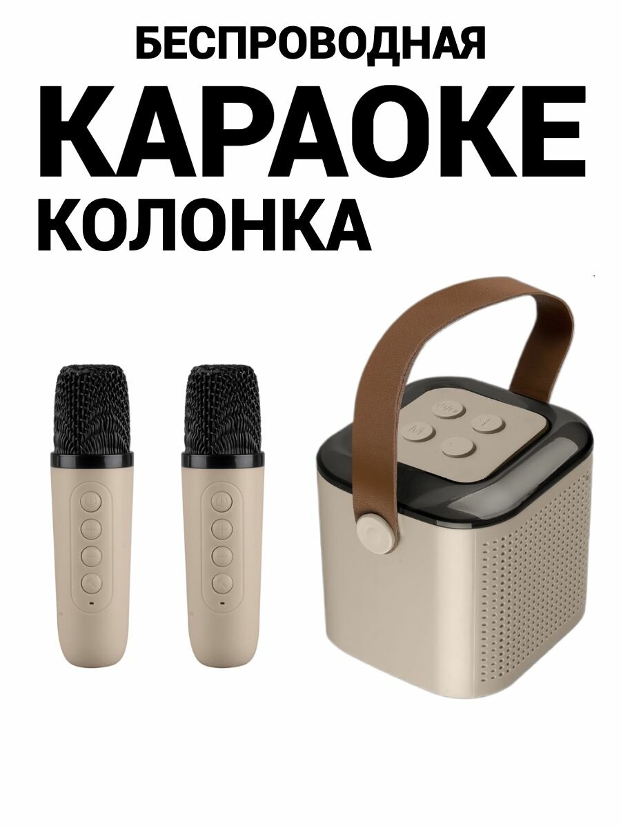 Беспроводная караоке колонка