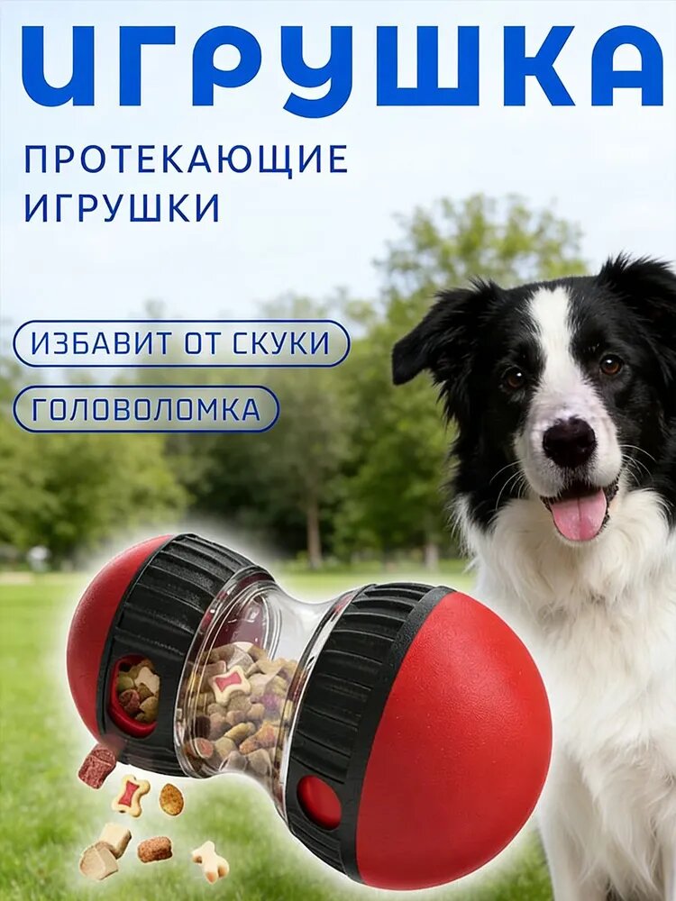 Конг для собак, конг для собак мелких пород, мяч с лакомством