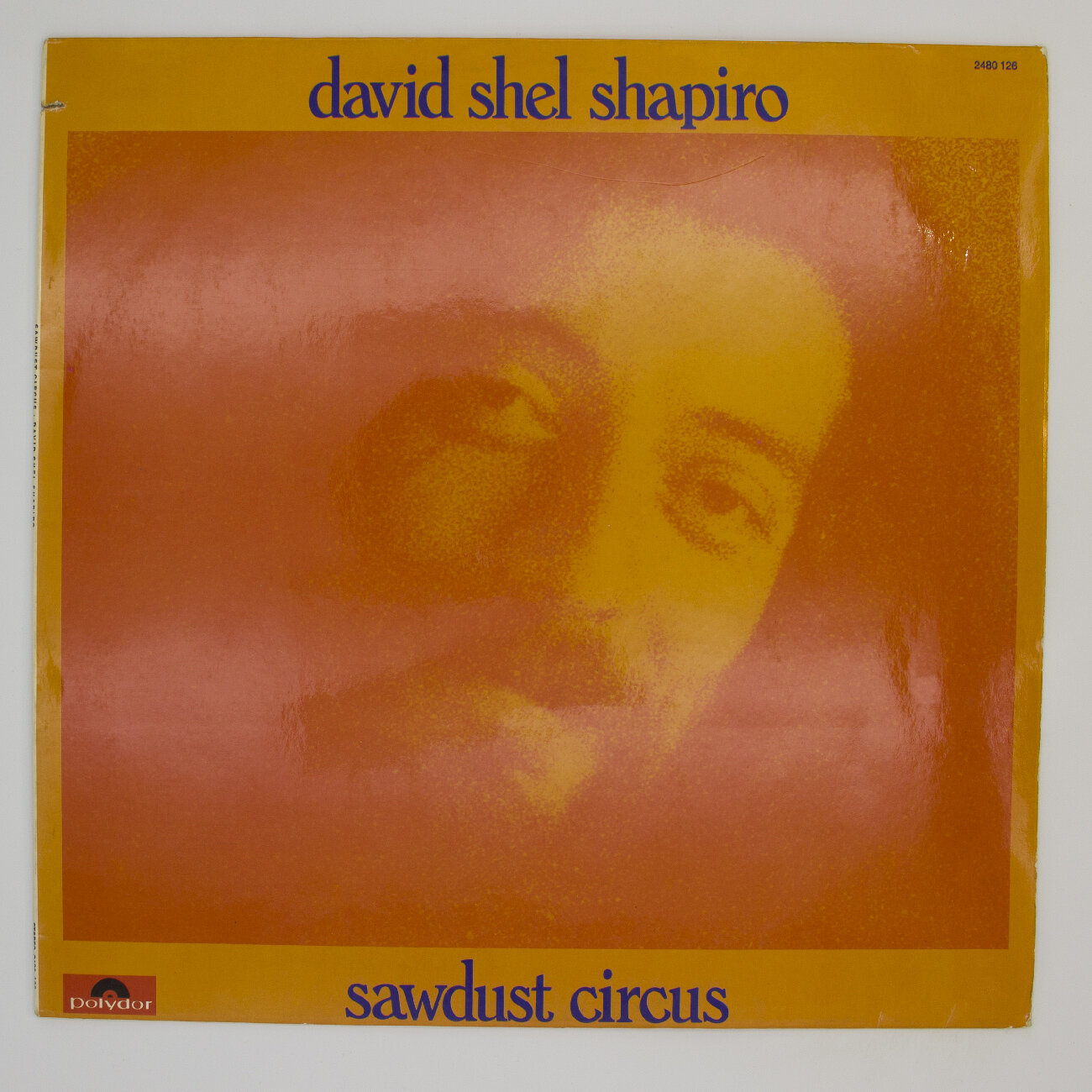 Виниловая пластинка David Shel Shapiro - Sawdust Circus, 1xLP, EX