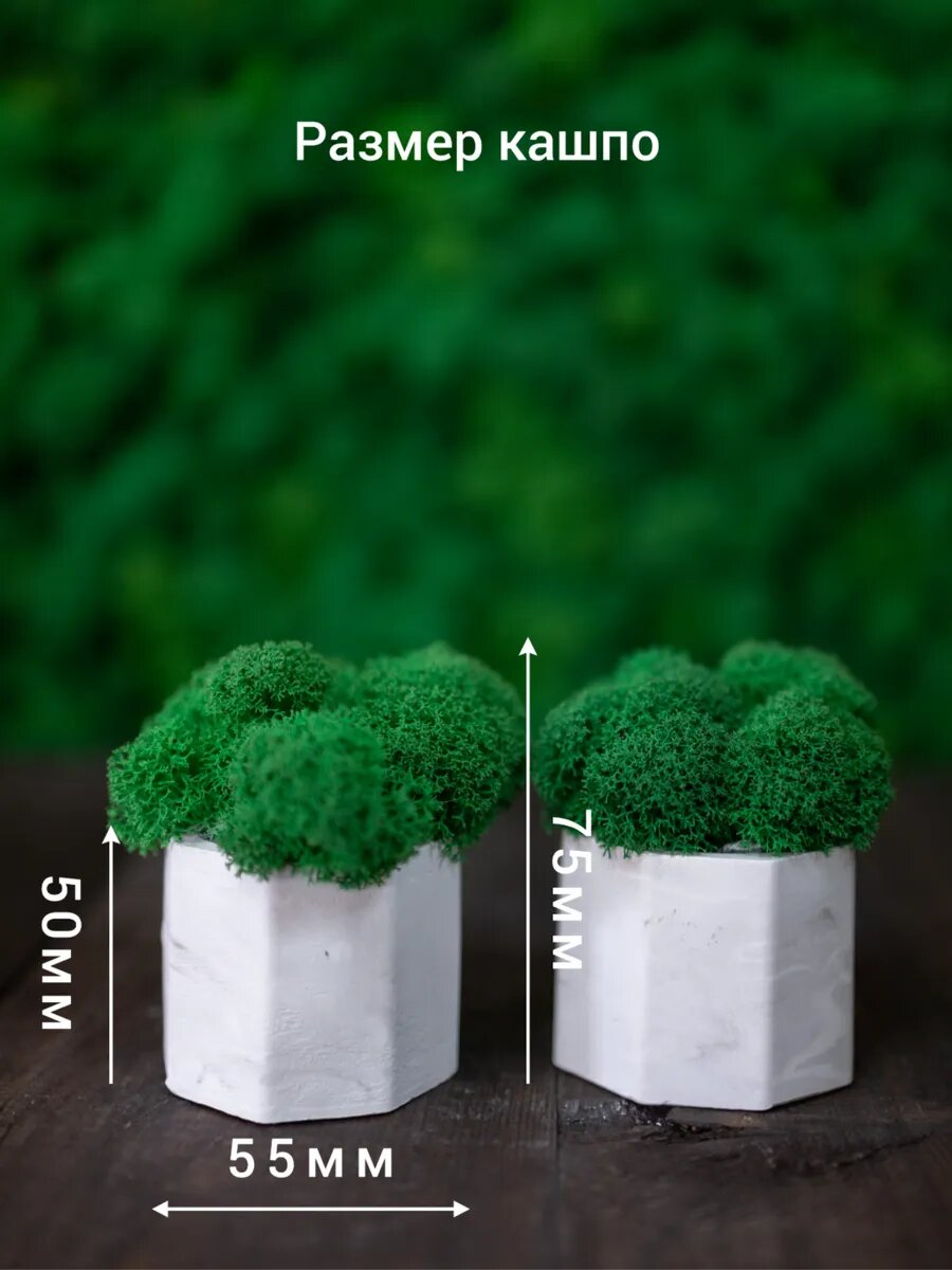 Кашпо StabFlora "Мраморная дымка", со стабилизированным мхом, 2 шт
