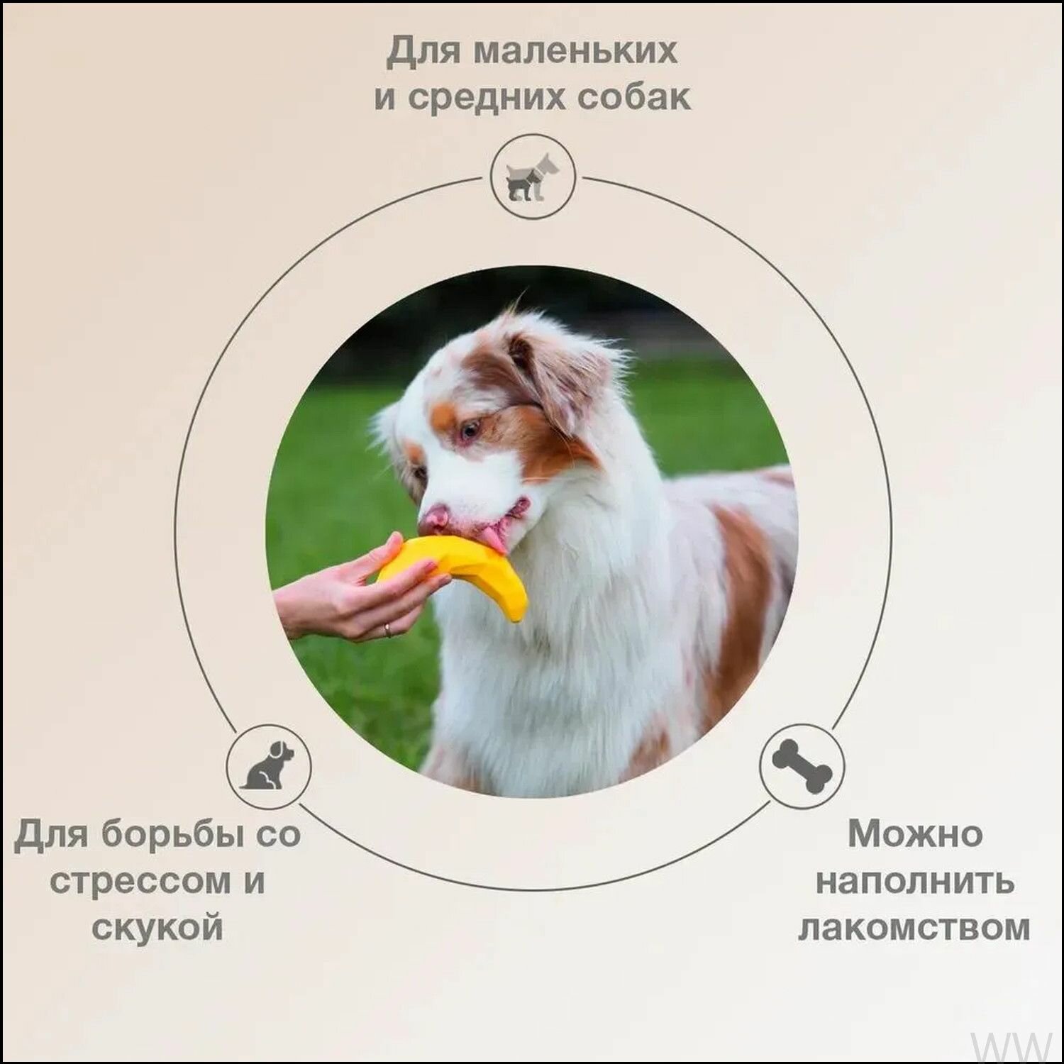 Игрушка для животных — фото 1
