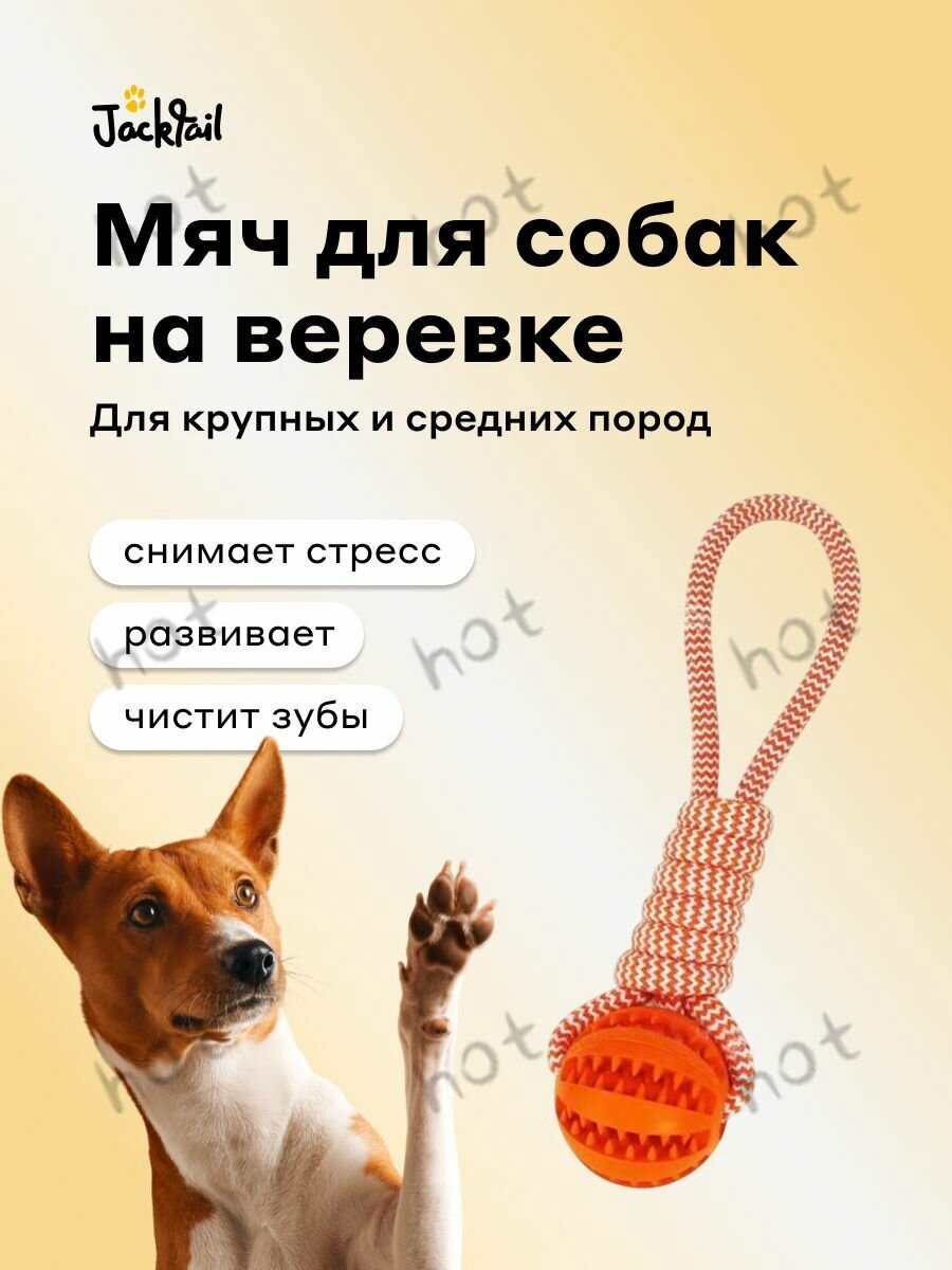 Мячик для собак больших и средних пород на веревке