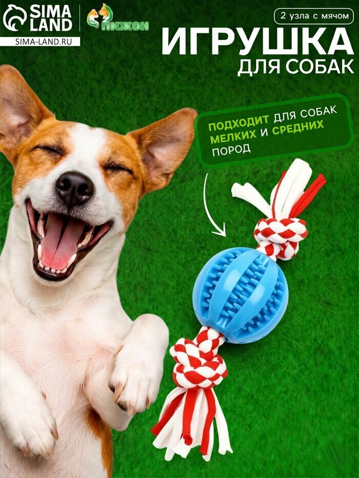 Игрушка для собак канатная «2 узла с мячом TPR», до 20 с, до 50 г