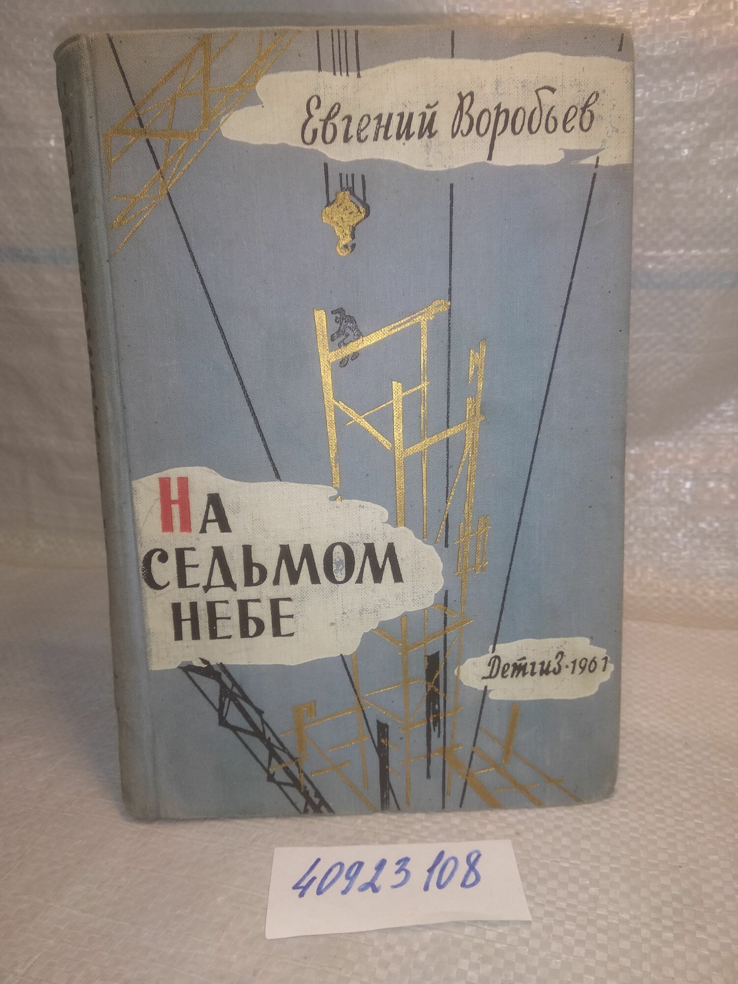 Евгений Воробьев. На седьмом небе.