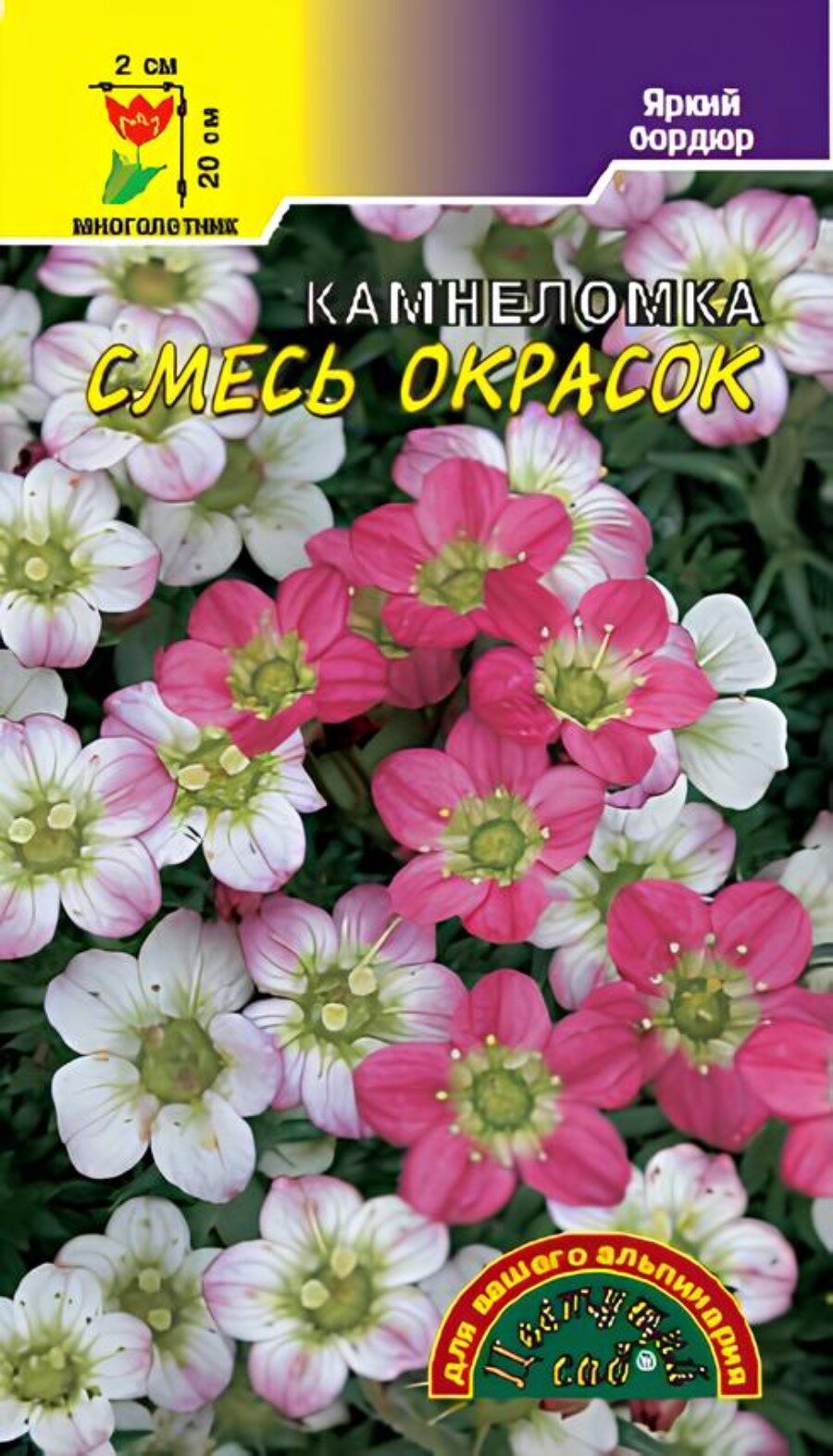 Семена Камнеломка Смесь окрасок (0,02 г), Цветущий сад, многолетник