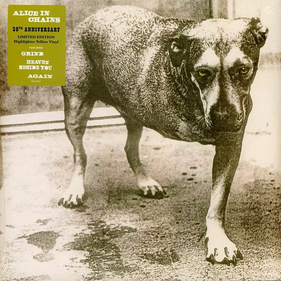 Пластинка Alice In Chains "Alice In Chains" 2LP (COLOURED, LTD, 30th Anniversary) NEW