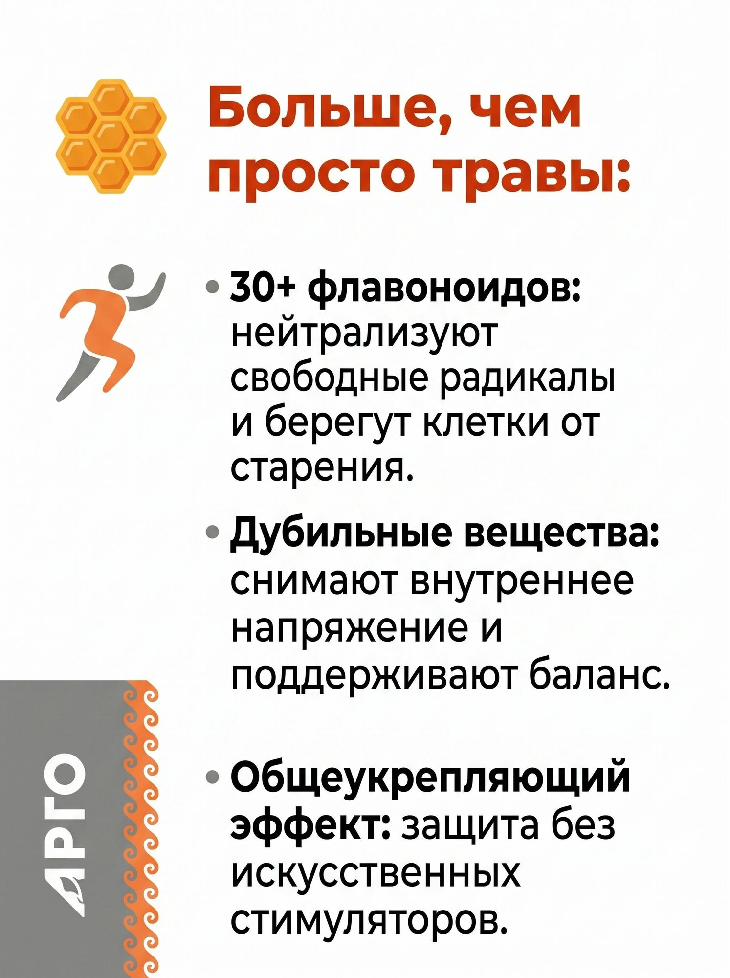 Фитокомплекс Лептопротект для поддержки дыхательной системы, витамины для тонуса и восстановления сил, 50 шт — фото 1