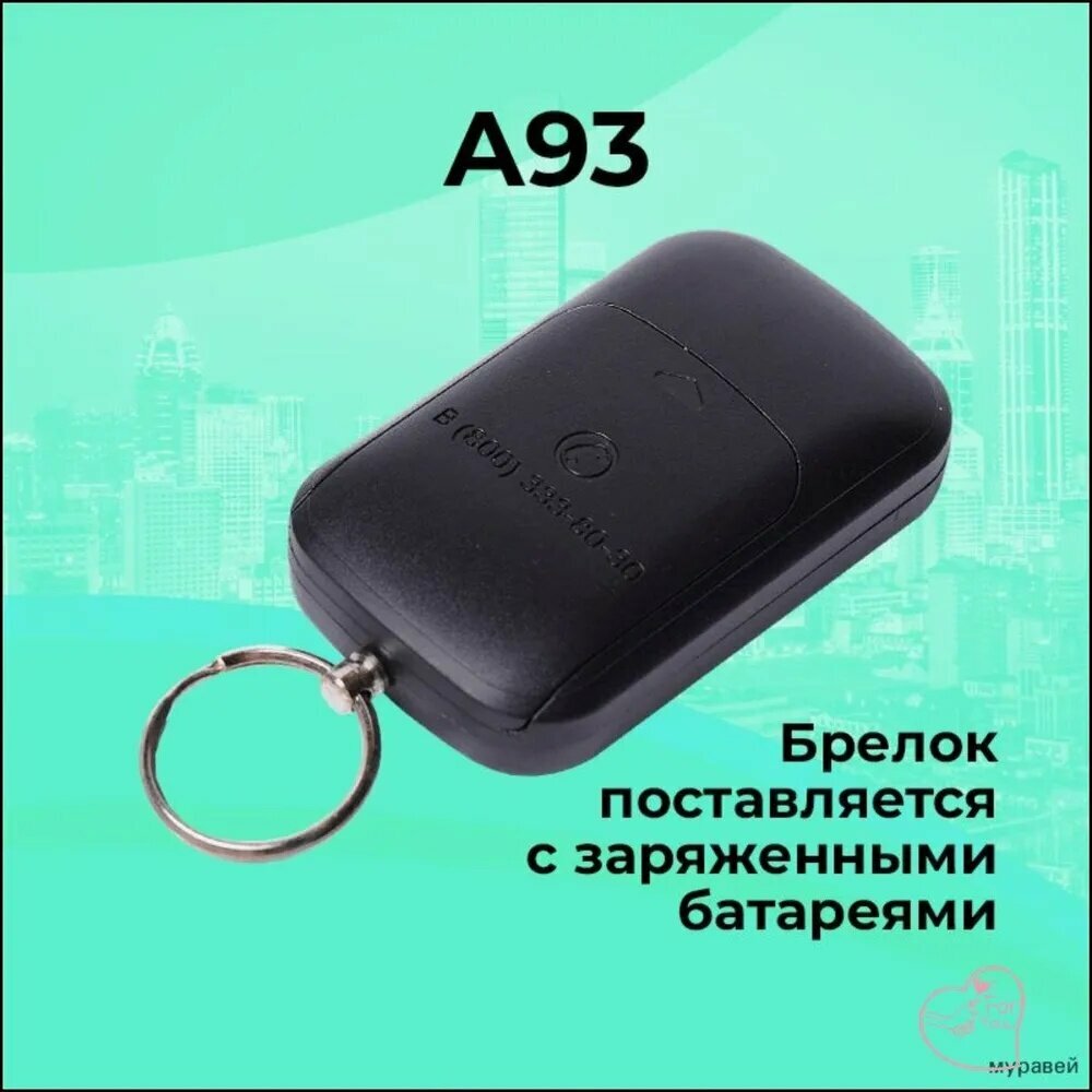 Автосигнализация — фото 1