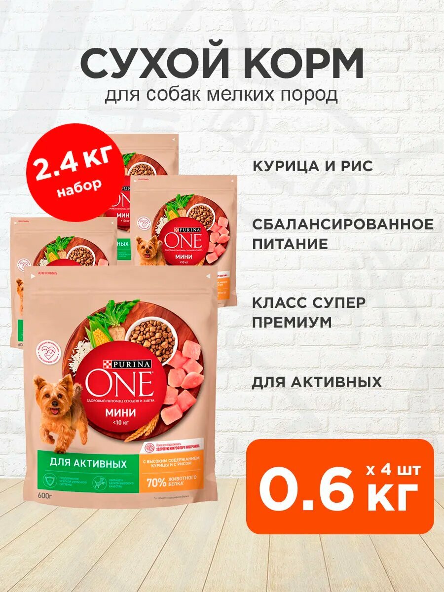 Корм сухой Purina One Мини для взрослых собак мелких и карликовых пород при активном образе жизни, курица, 600 г 4 шт