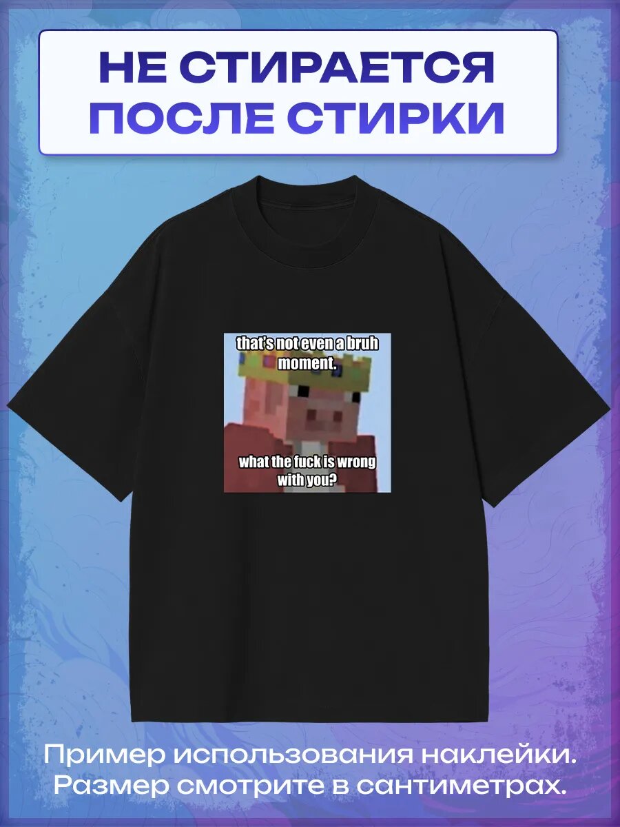Термонаклейка dsmp meme — фото 1